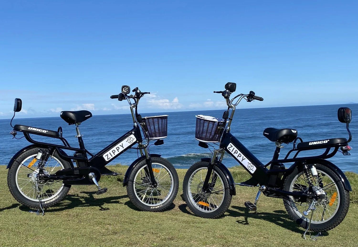 Zippy E Bikes: Electric Bikes Online