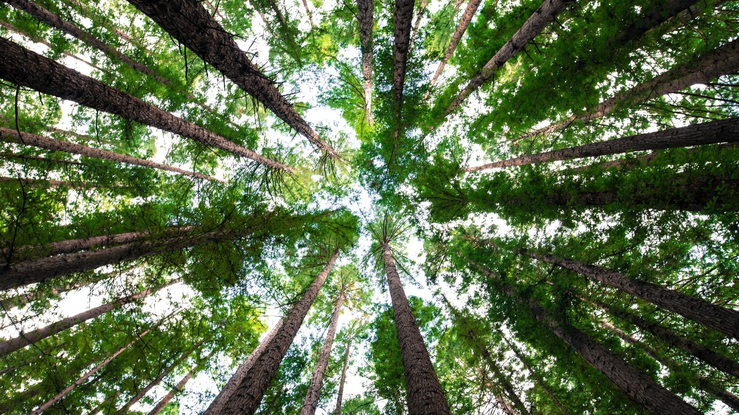 Viro Print - Print shouldn't cost the Earth.