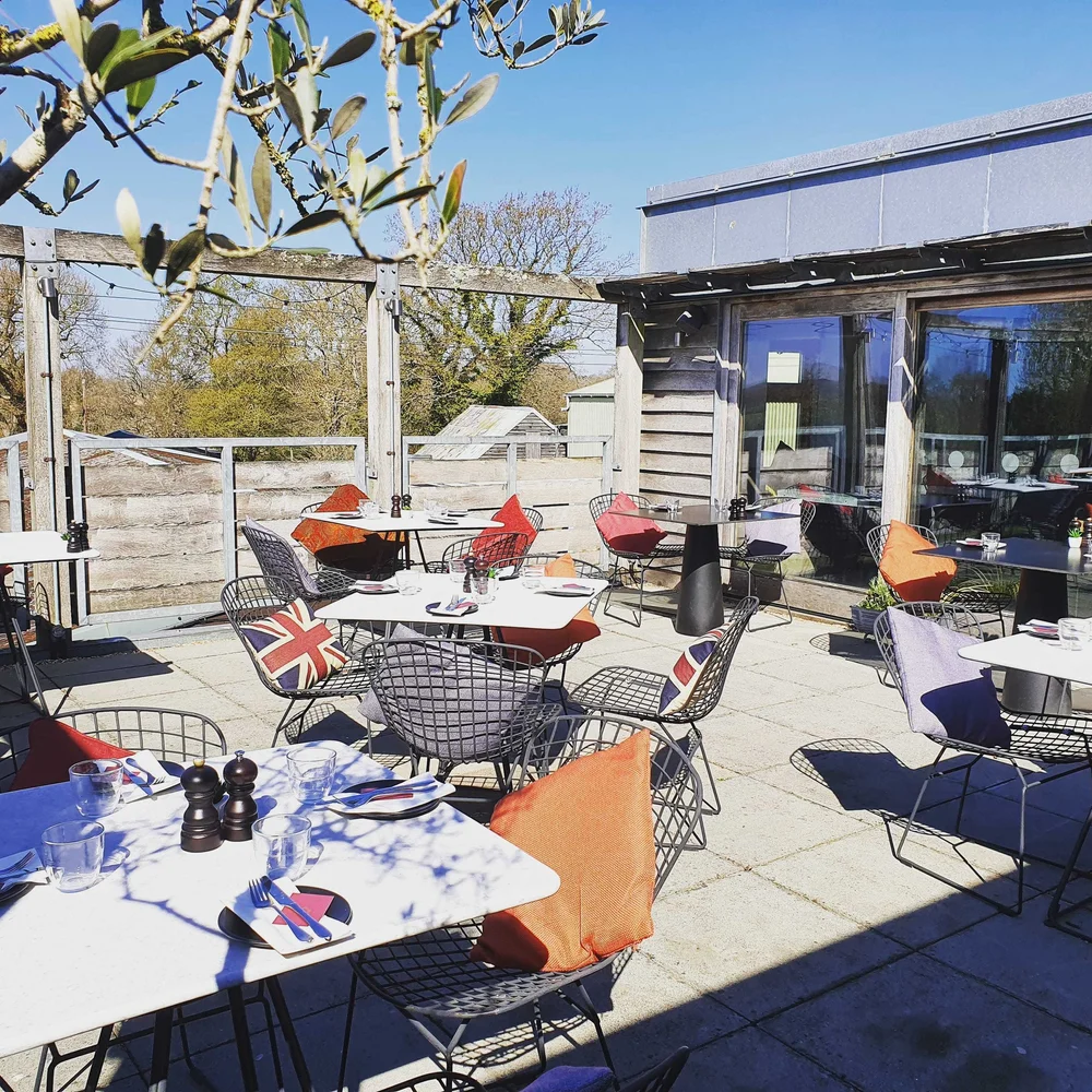 Gallery — The Swan