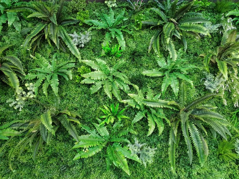 Print photos, illustrations or graphics onto hygienic PVC wall cladding ...