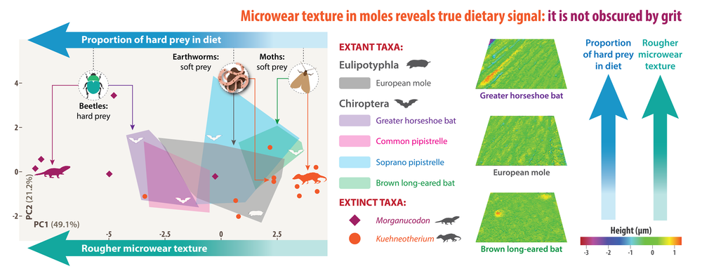 Graphical abstracts — Science Graphic Design