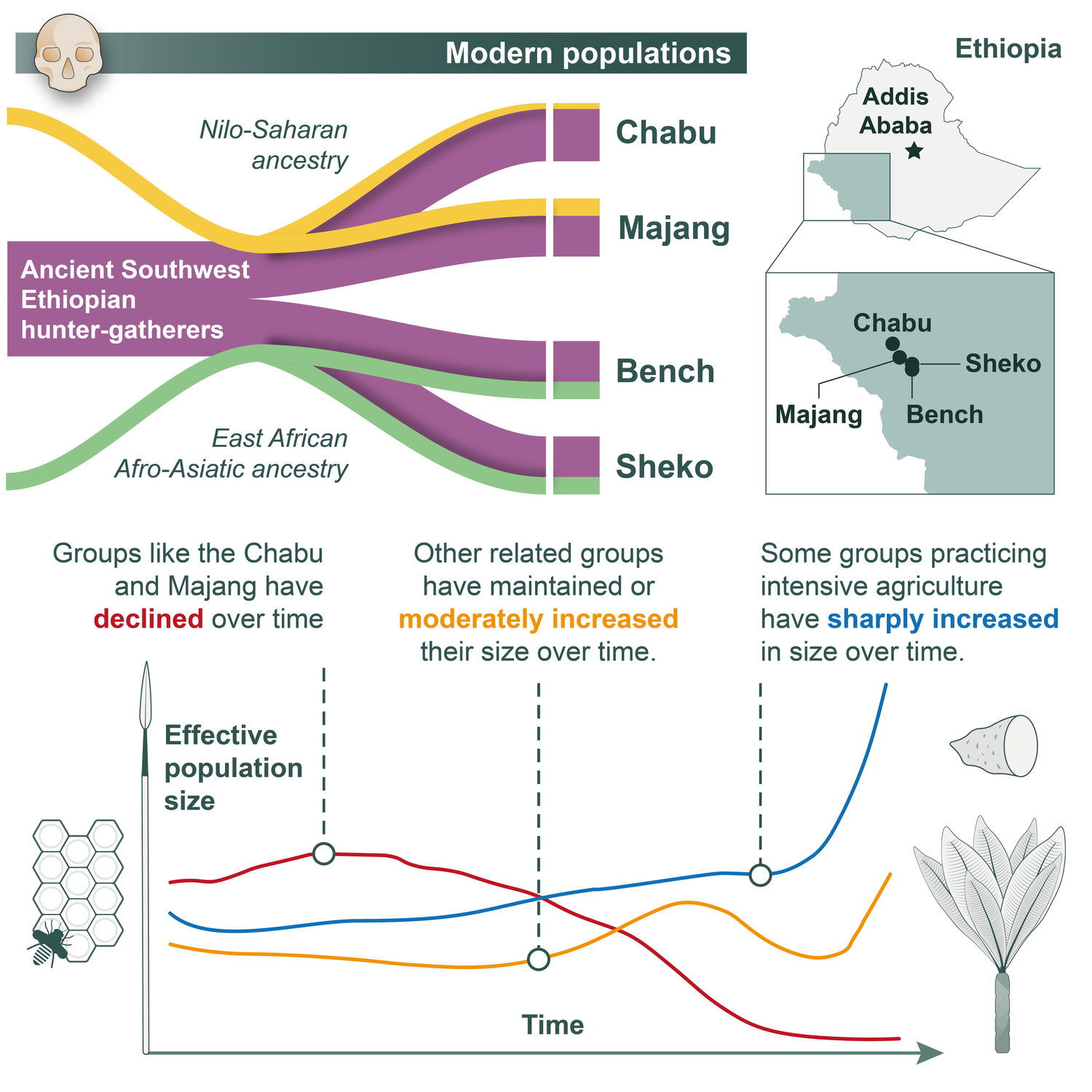 Graphical abstracts — Science Graphic Design