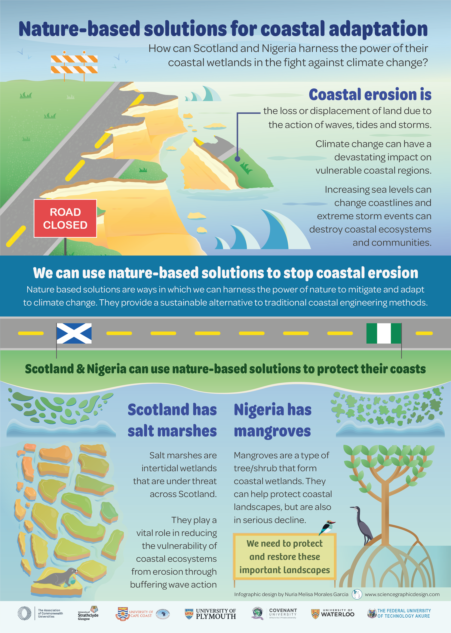 Posters & Infographics — Science Graphic Design