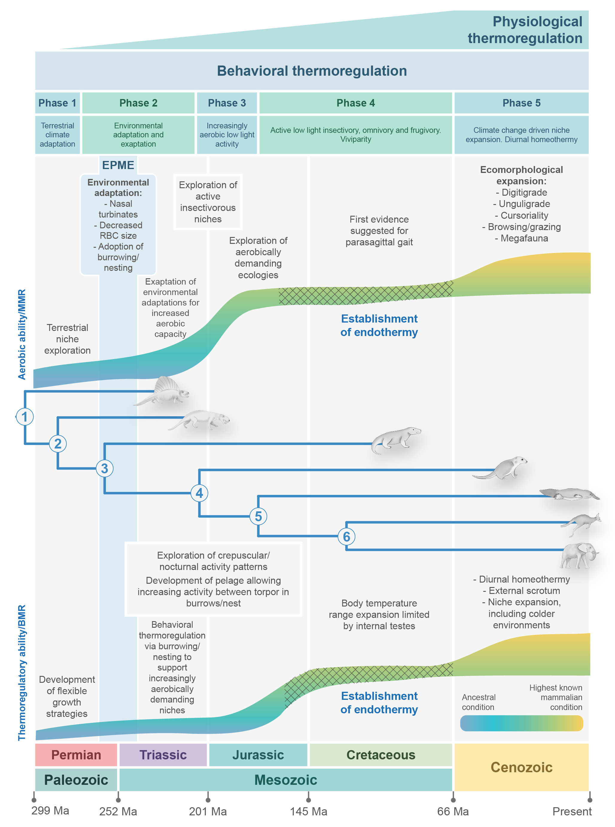 Science Graphic Design