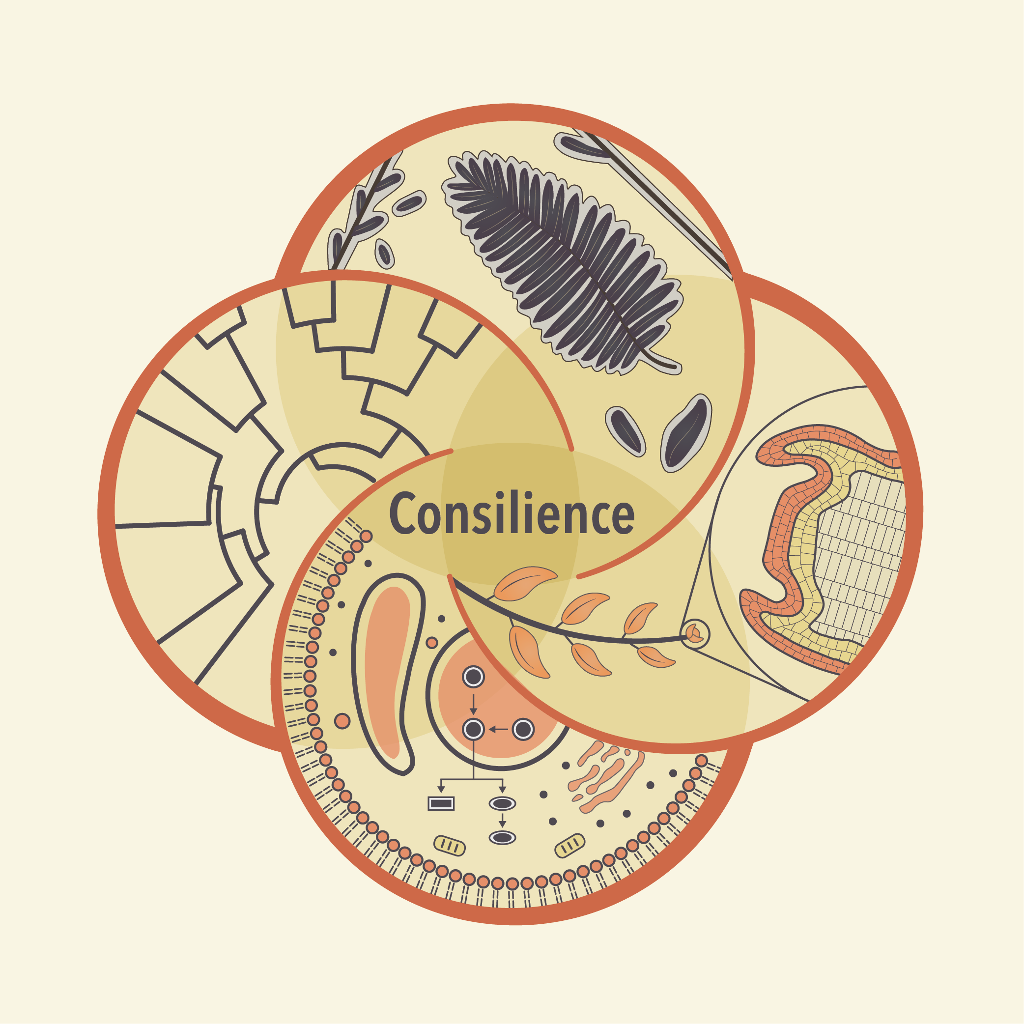 Science Graphic Design