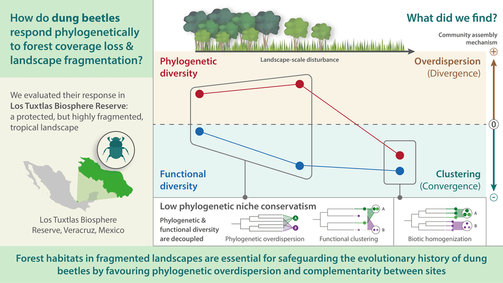 Graphical abstracts — Science Graphic Design