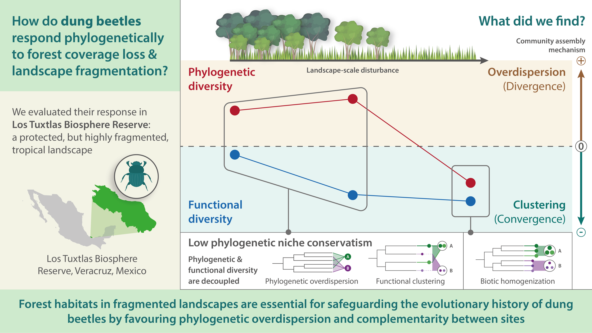 Graphical abstracts — Science Graphic Design