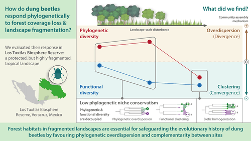 Graphical abstracts — Science Graphic Design