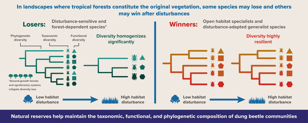 Graphical abstracts — Science Graphic Design