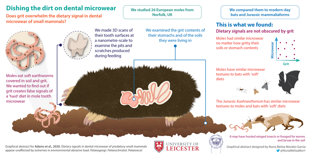 Graphical abstracts — Science Graphic Design