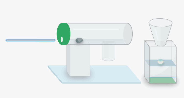 Animations — Science Graphic Design