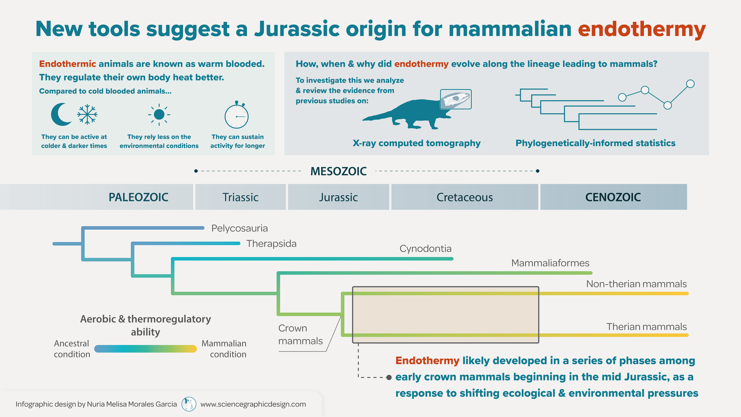 Graphical abstracts — Science Graphic Design