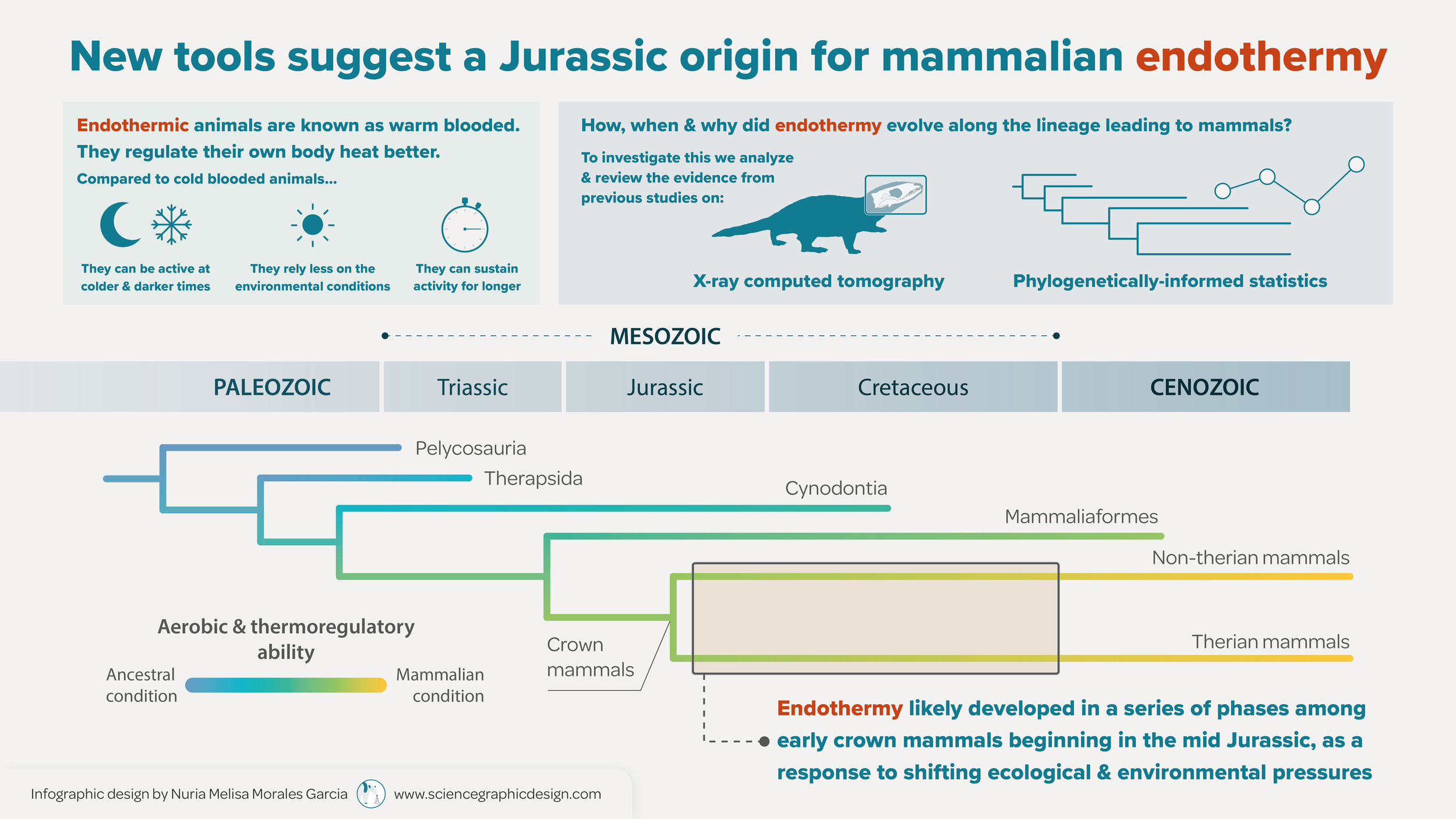 Graphical abstracts — Science Graphic Design