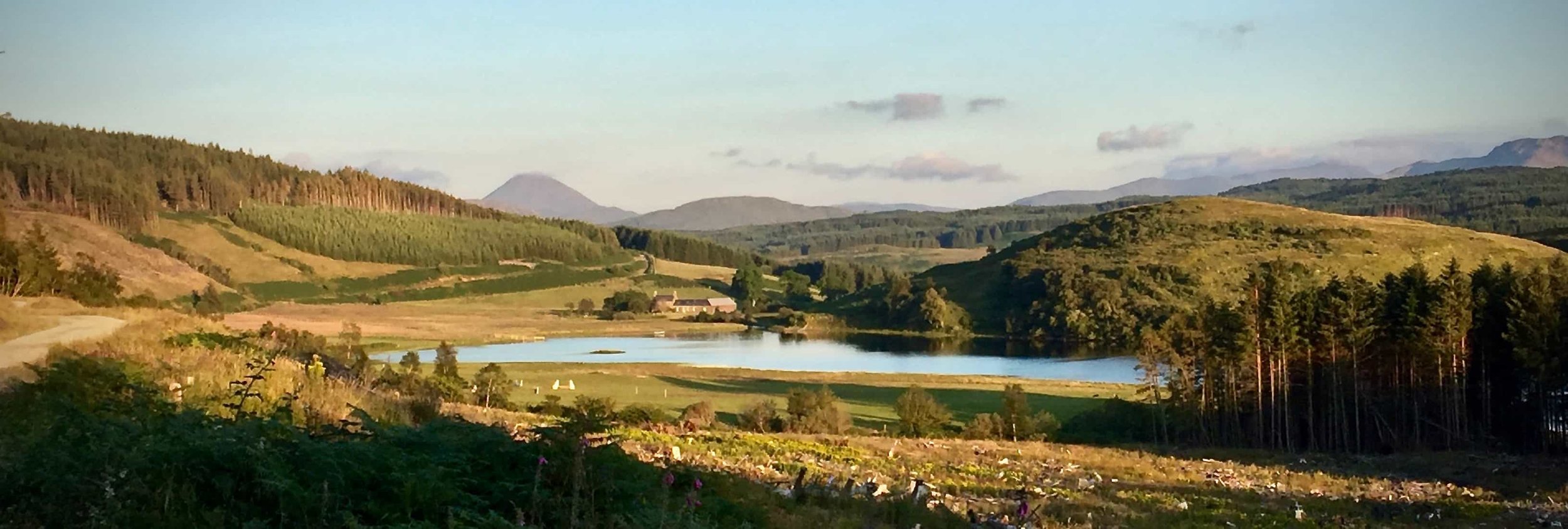 Ledmore Isle of Mull