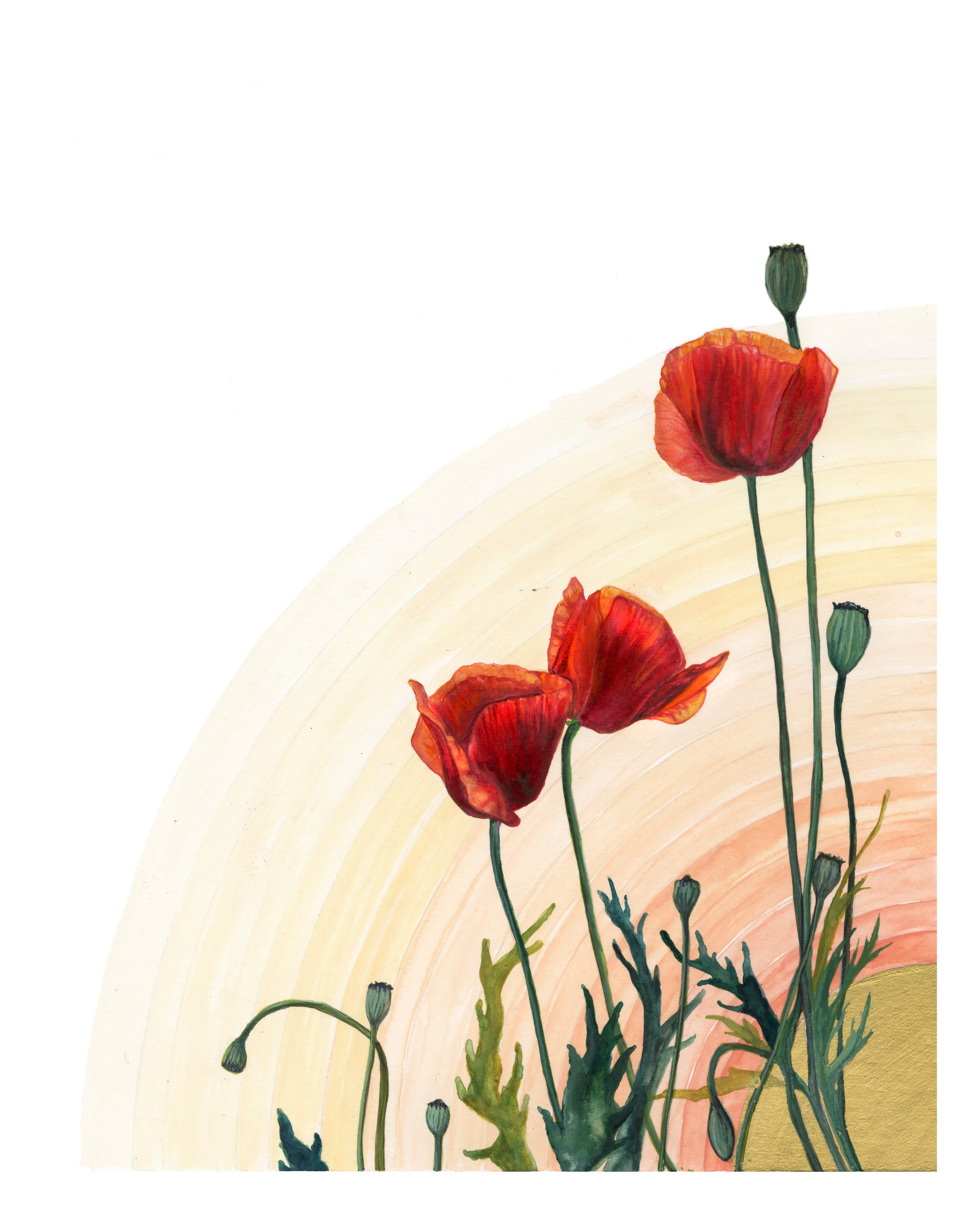 Nature-Inspired Watercolor Art & Prints - Shop Lily Cain Studio