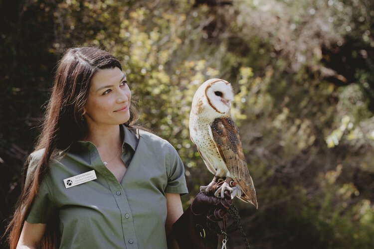 Wildlife Overview — Ojai Raptor Center