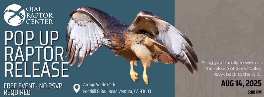 The Ojai Raptor Center