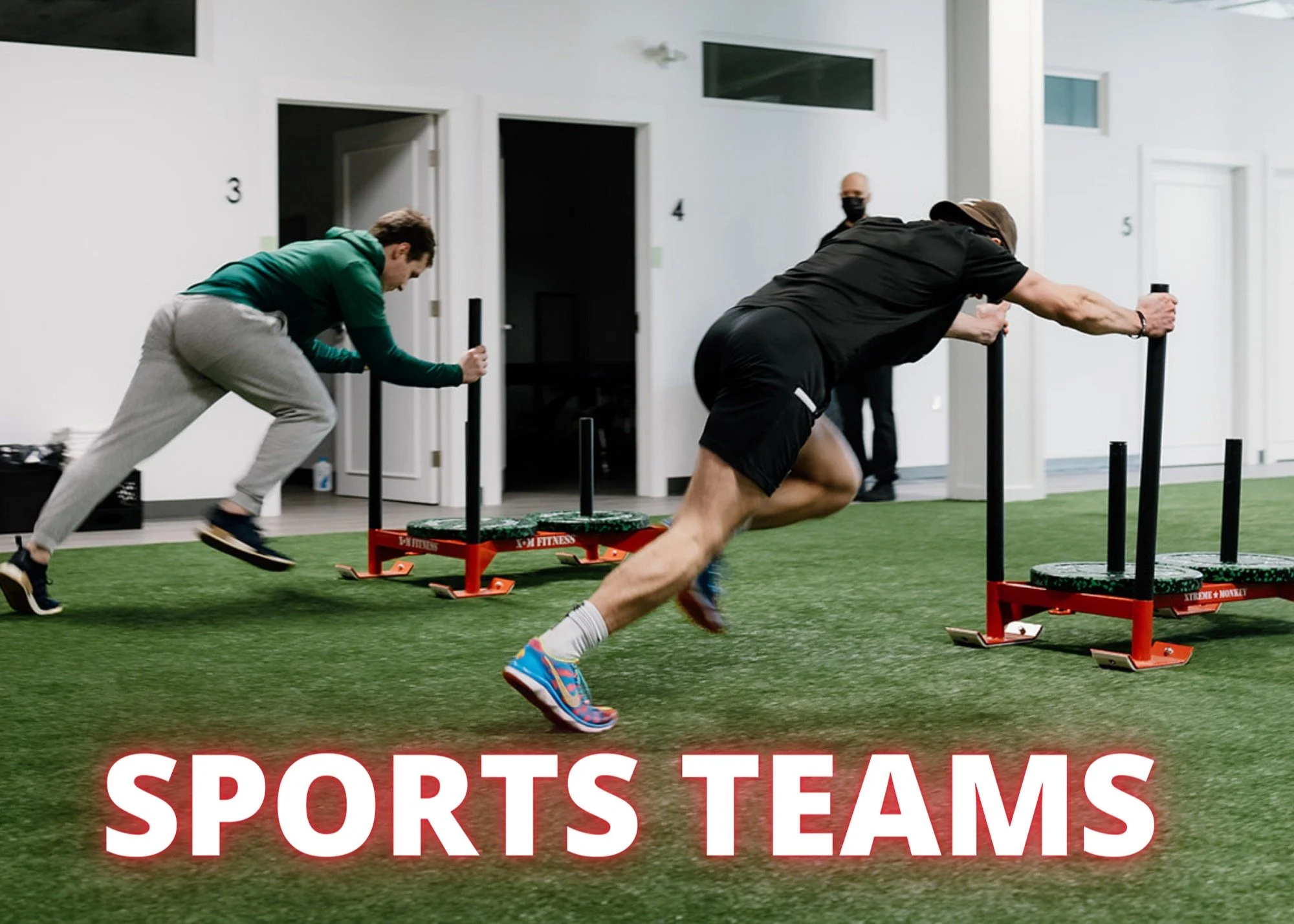 Our Services — Pulse Physio & Performance