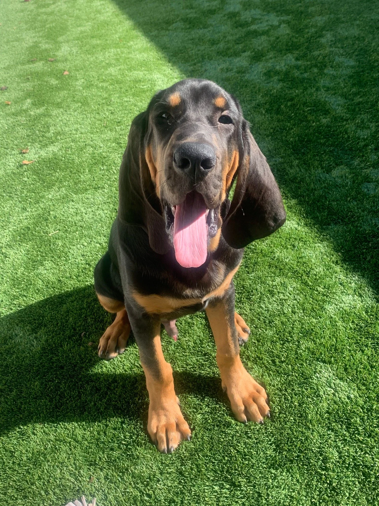 The Cade Corporation | Waterproofing - Solutions. Supplies. Service.