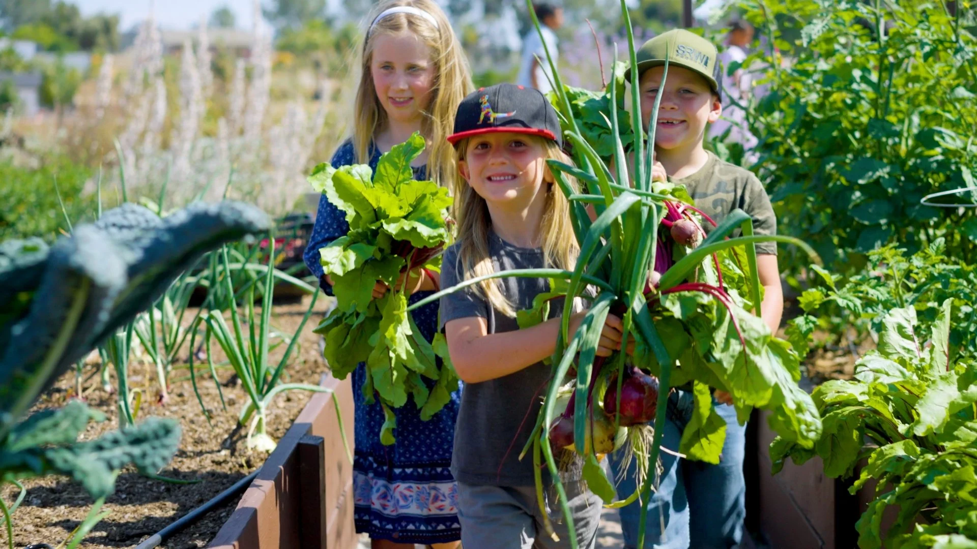 General 1 — Bonsall Berry Farm