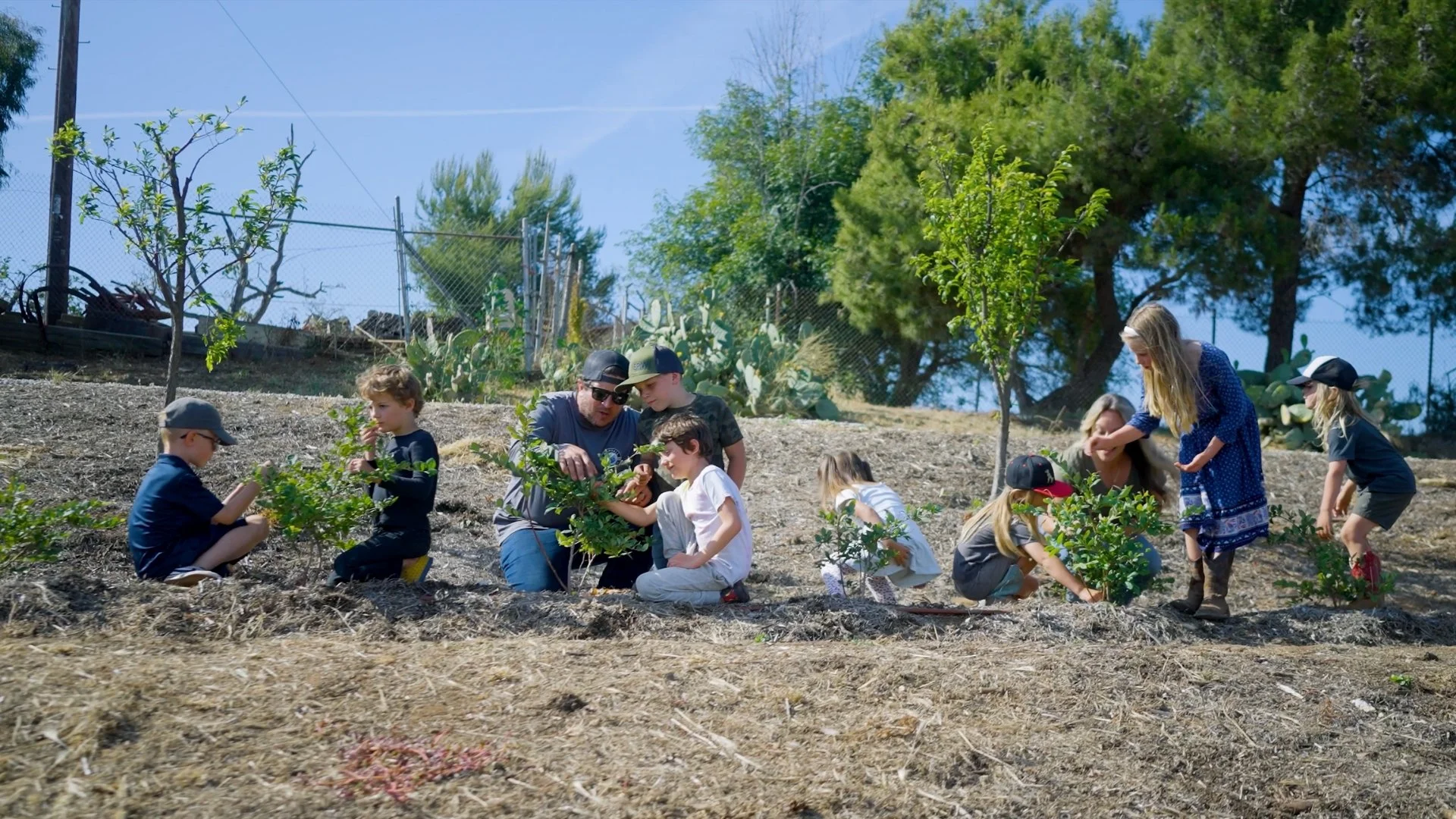 General 1 — Bonsall Berry Farm