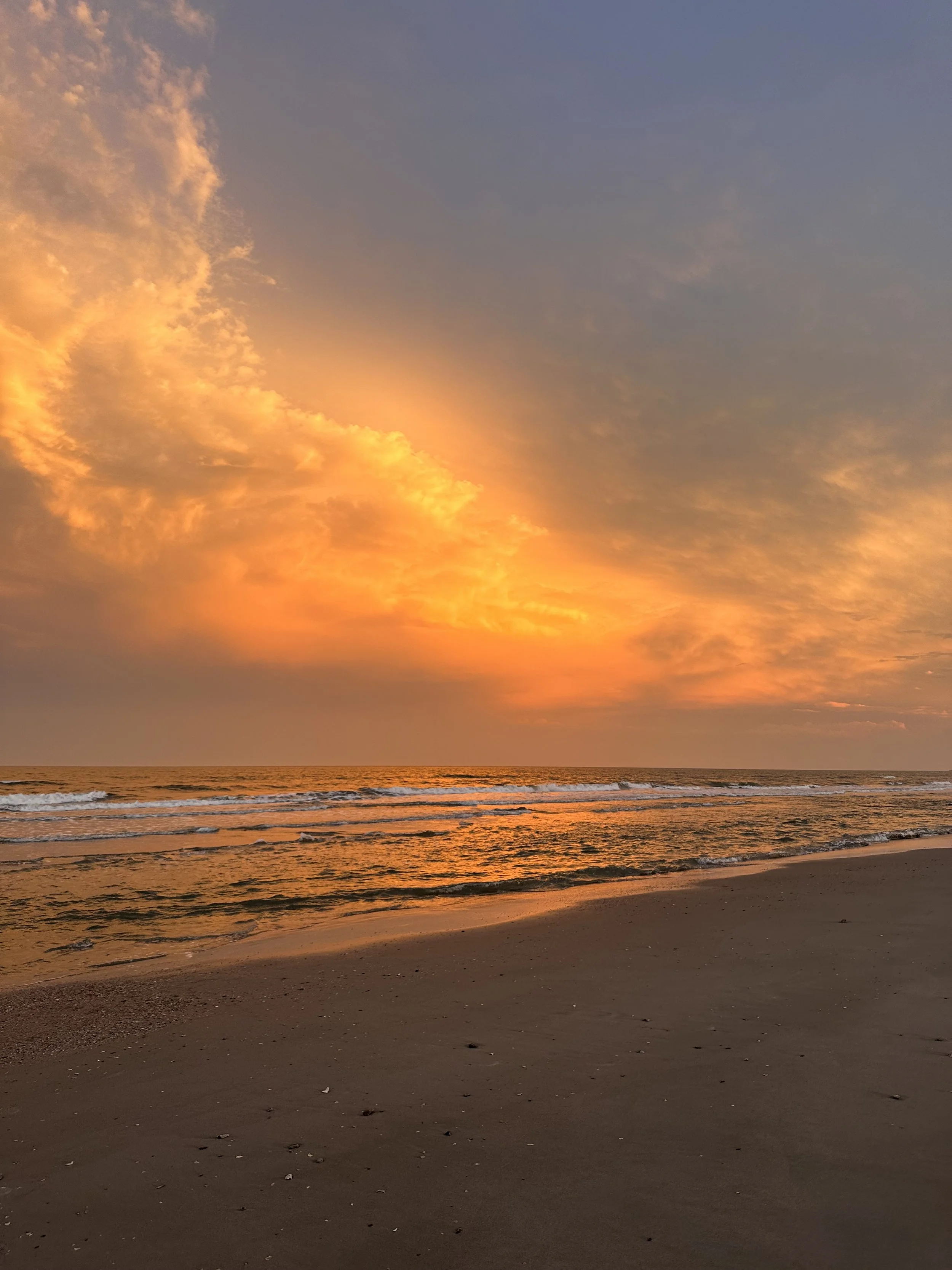 Training Plans — ellie exercise