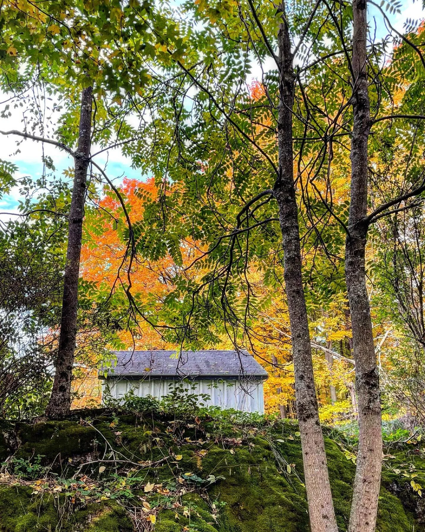 Silverbook Manor | Sustainable Private Farming Club