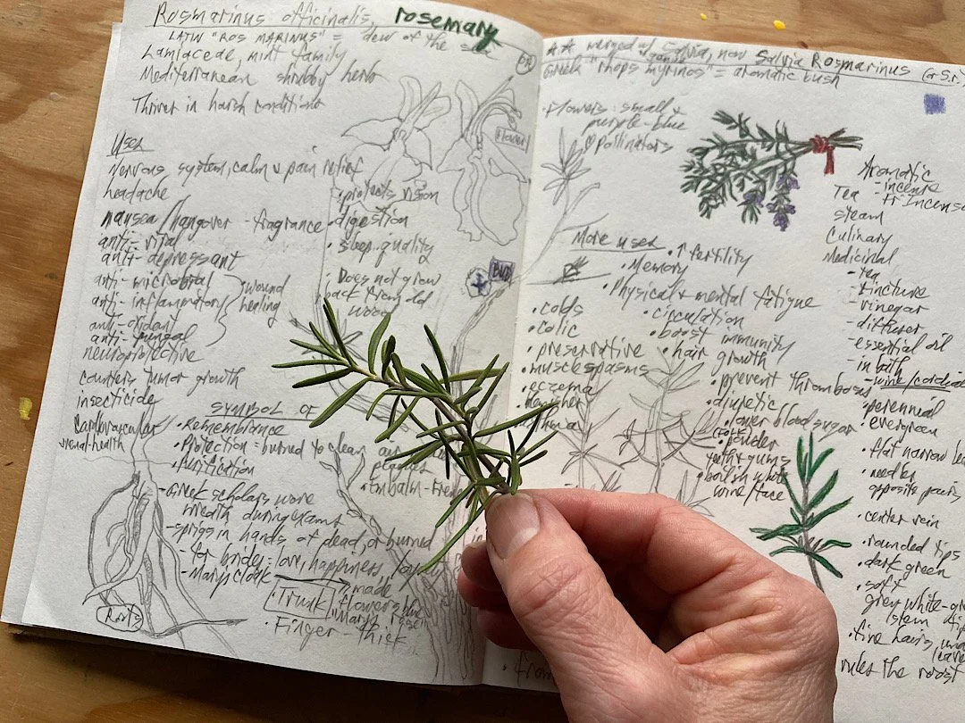 Rosemary — Nanette Moss Abstract Art