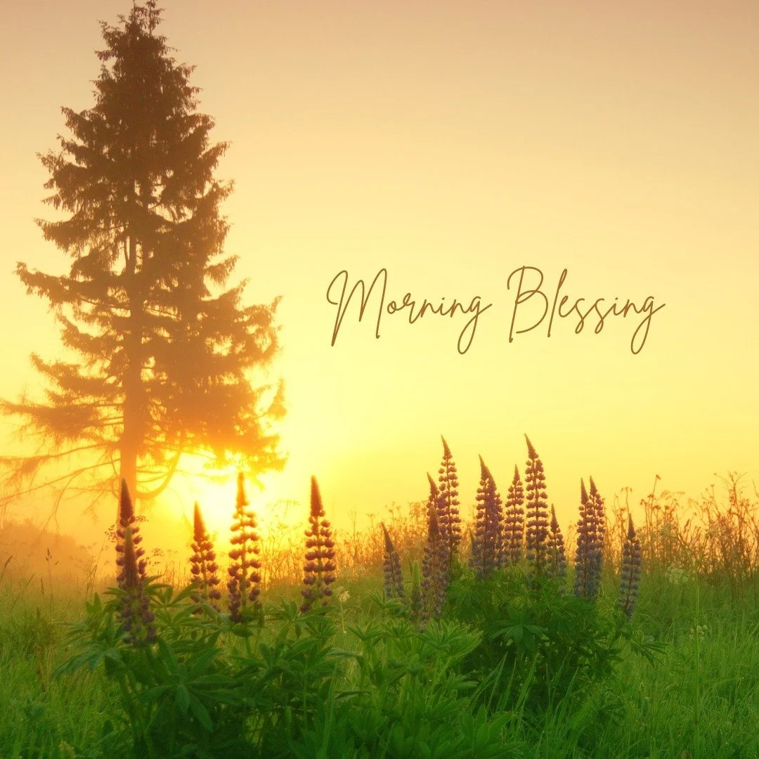 God Knows Your Heart — Susie Larson