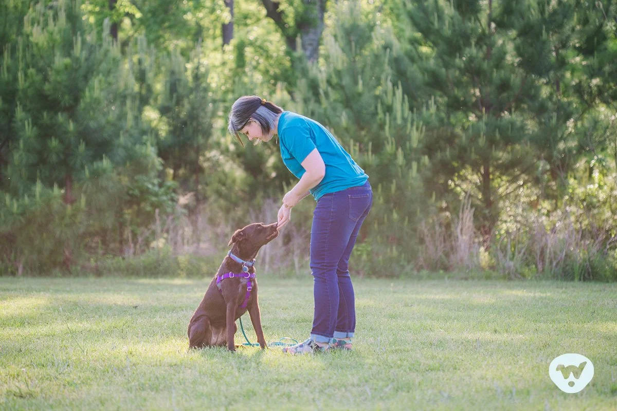 Clicker Training Dogs — Wonderdog Training, LLC