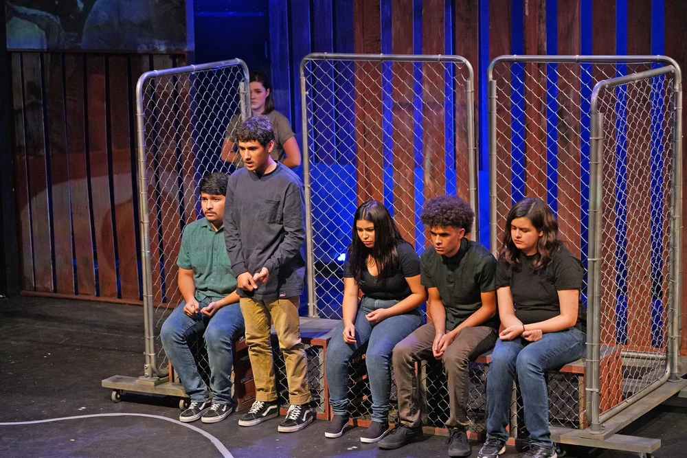 Gallery 3 — Mara Richards Bim