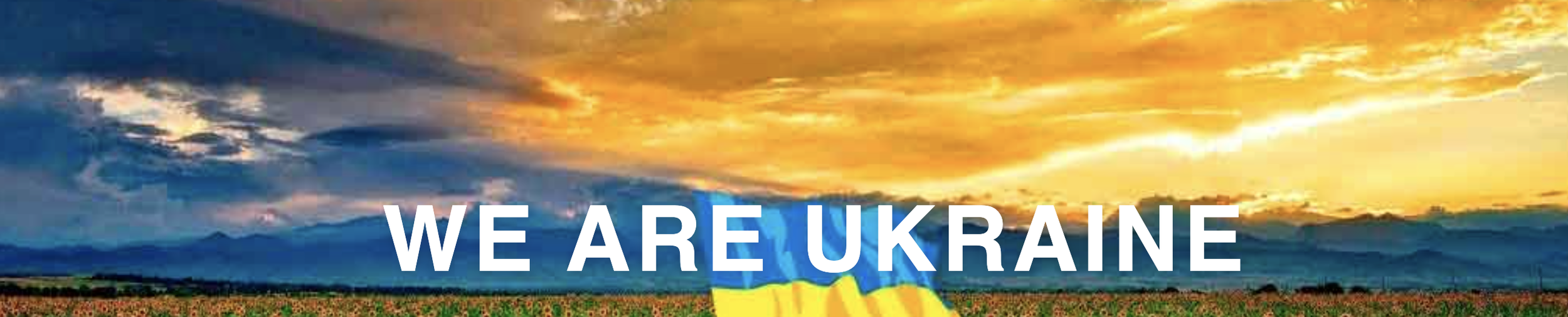 Our Projects — Brazza International