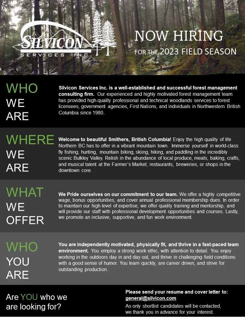 Available Positions — Silvicon Services
