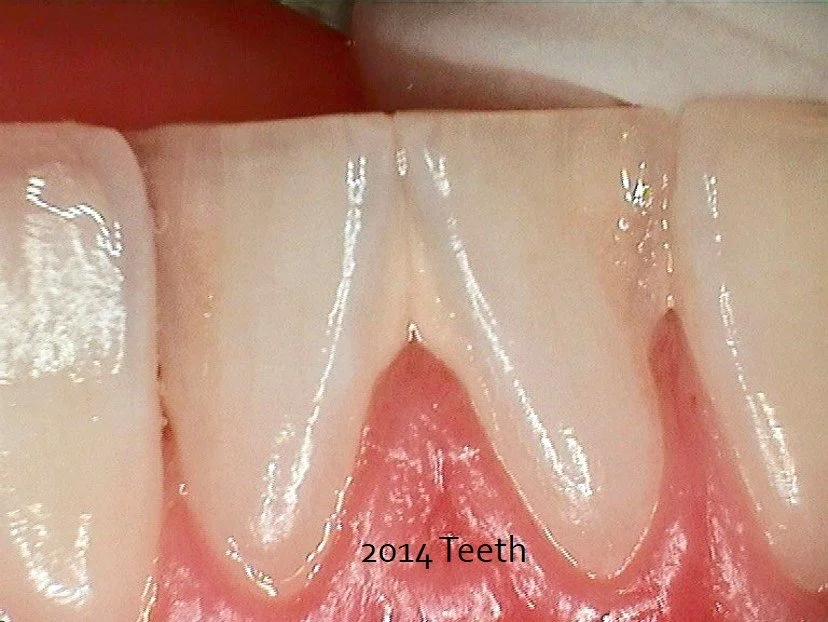 Pickenpaugh Family Farm | Pasture Raised Beef, Pork & Chicken