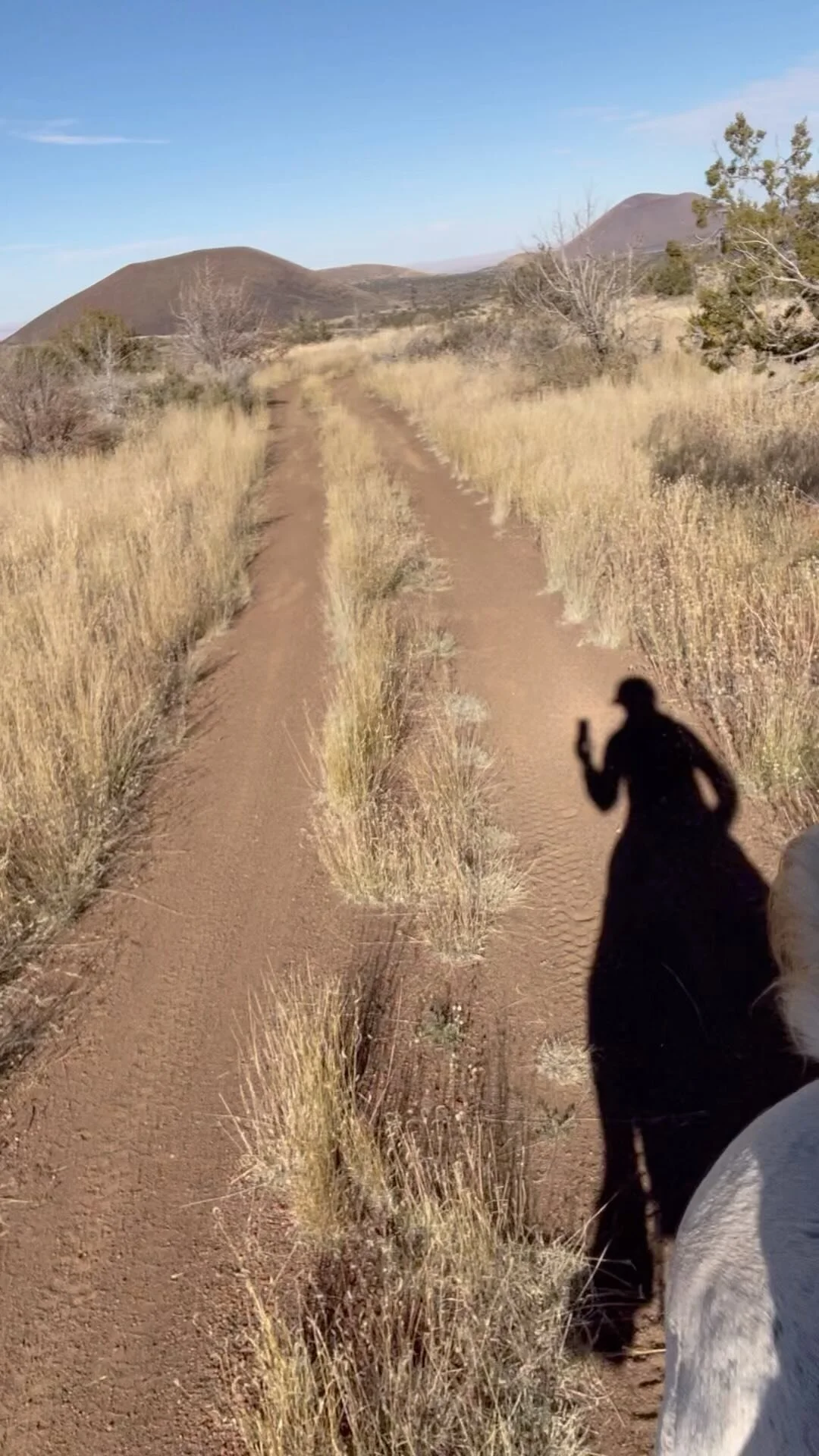 Sedona Elopement Photographer - Packages