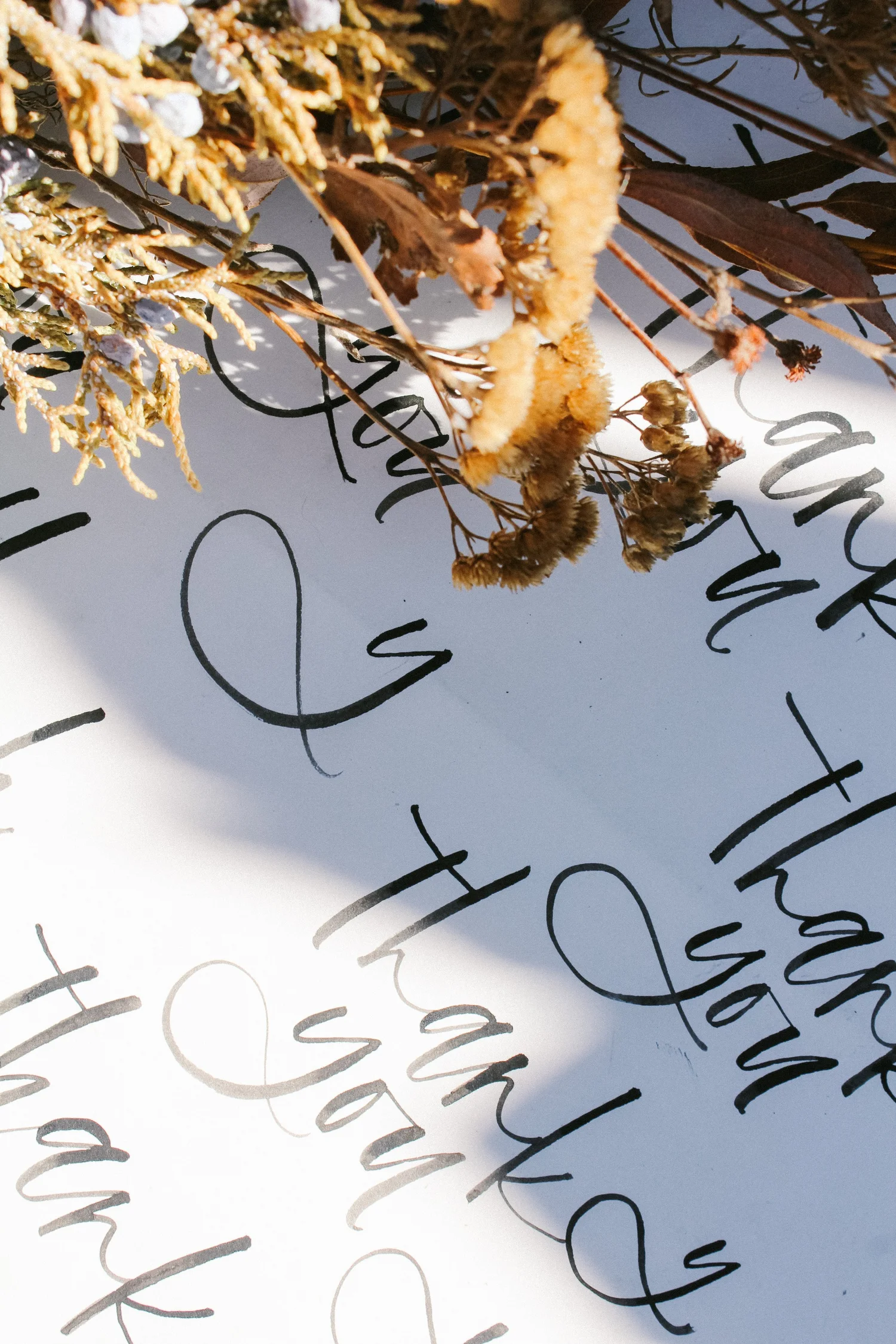 Lettering — casey alexis designs