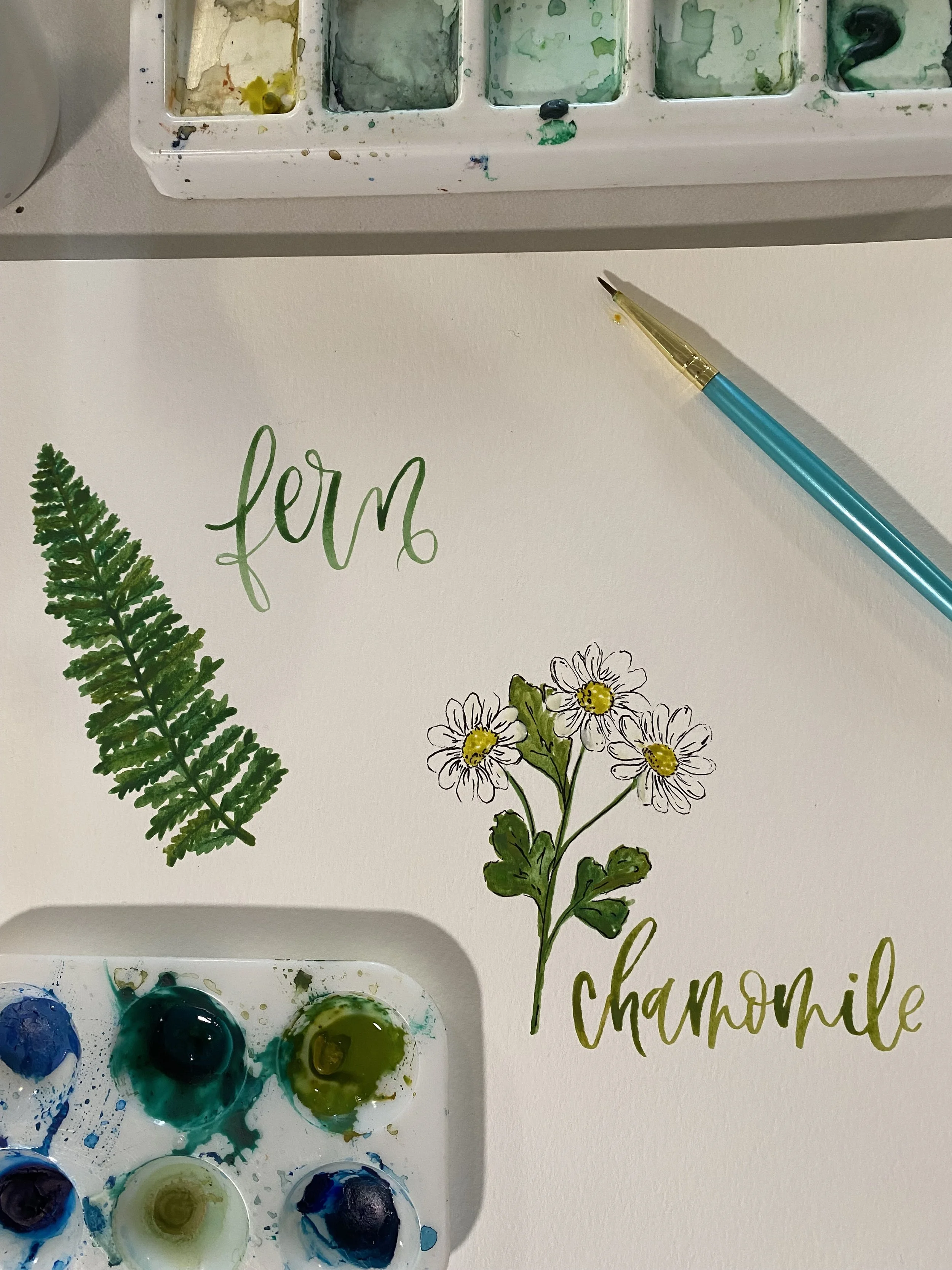 Lettering — casey alexis designs