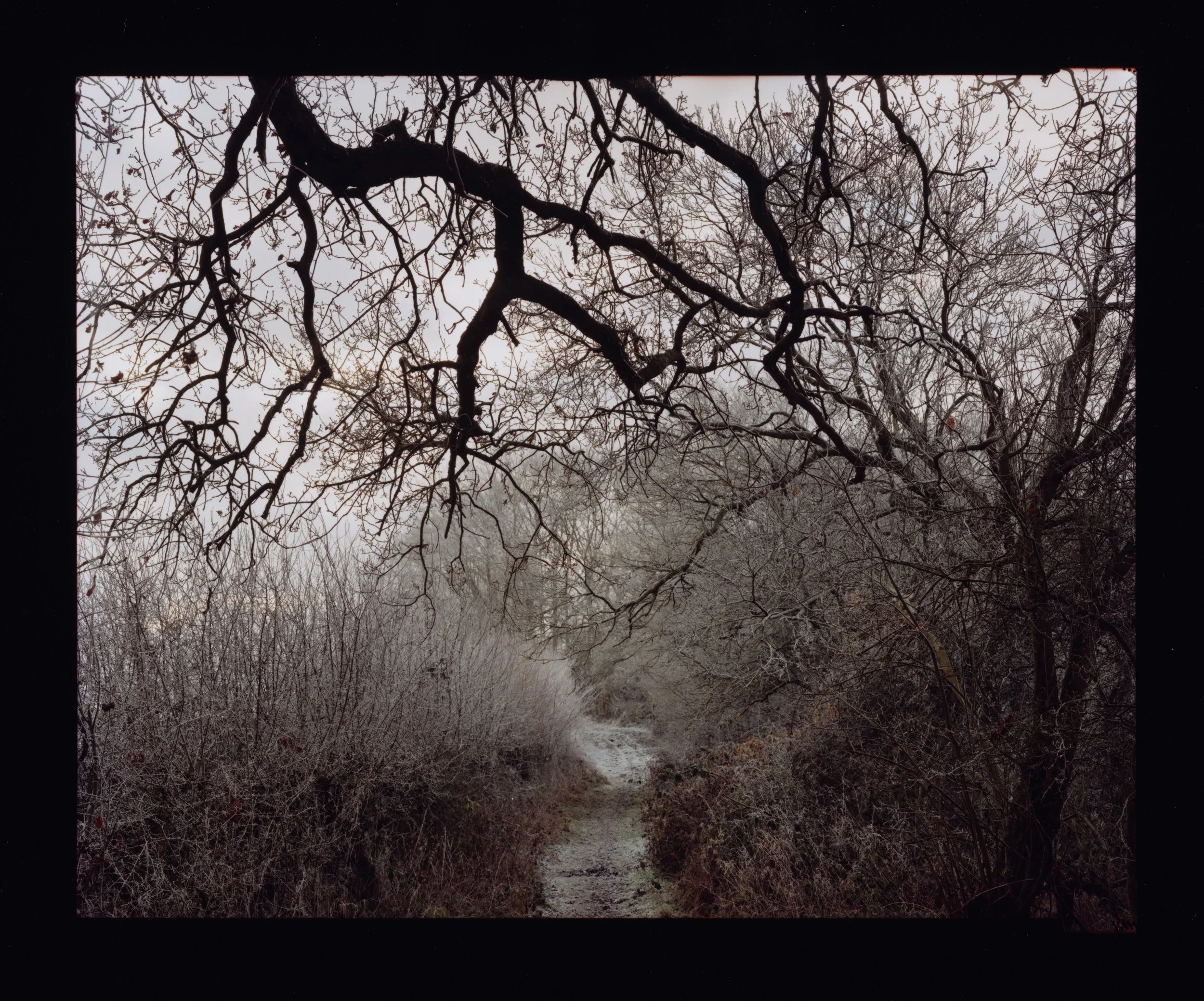 About — John Spinks Photographer