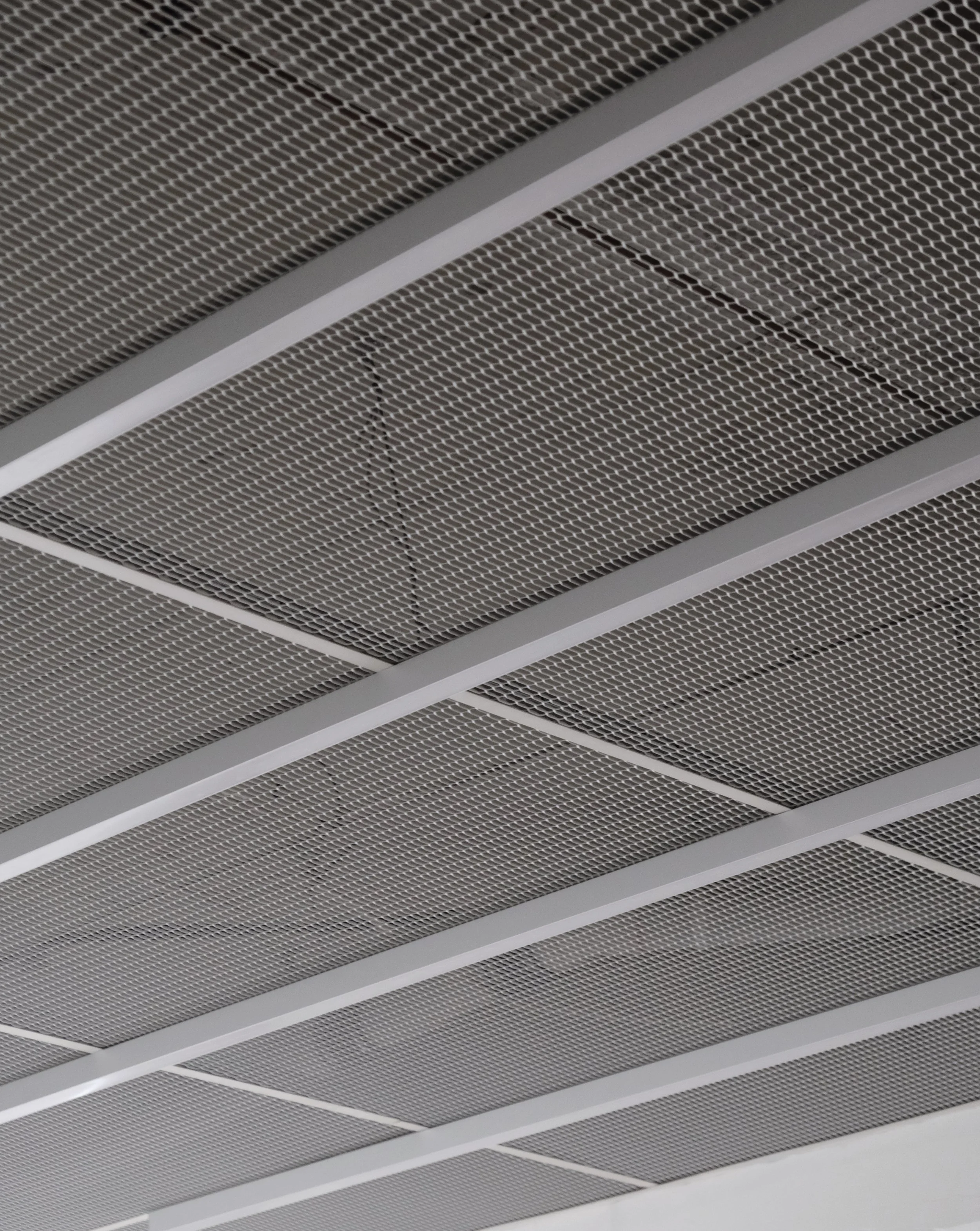 Option-O Gallery — PerCapita