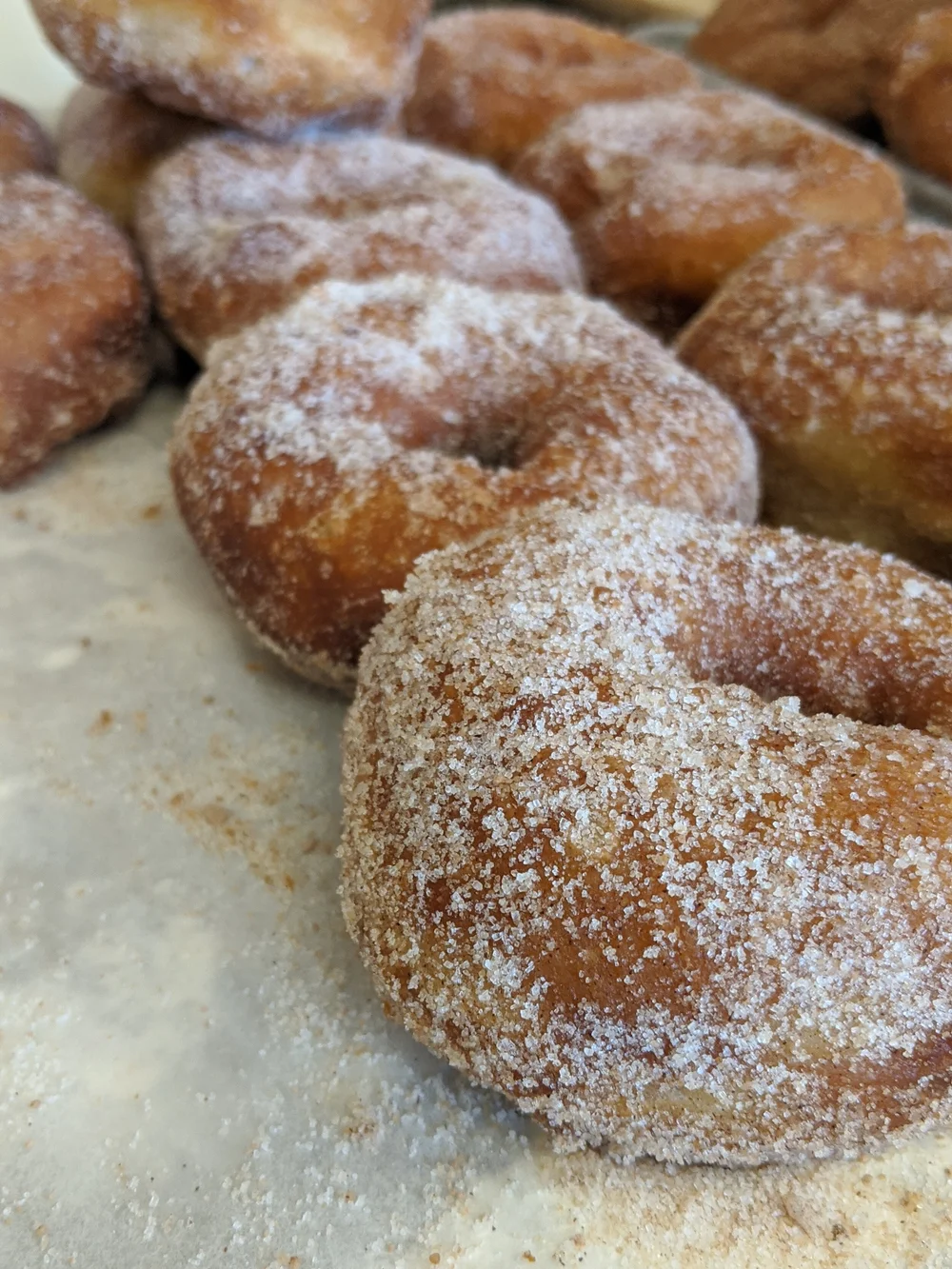 BUTCHER & PANTRY — Artisan Bakery