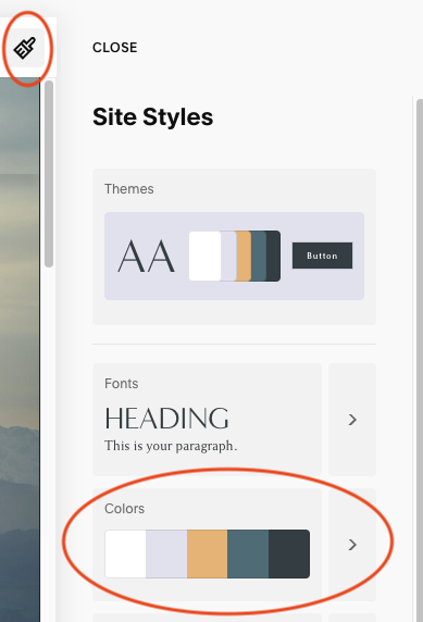 Web Design Guide: How to Use the Squarespace Color Palette