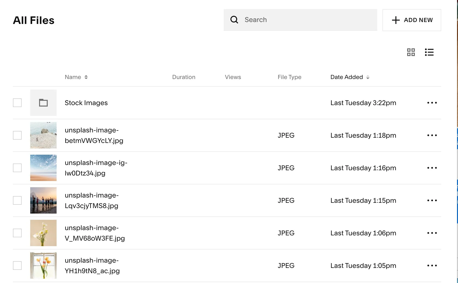 How to Use and Make the Most of Your Squarespace Asset Library