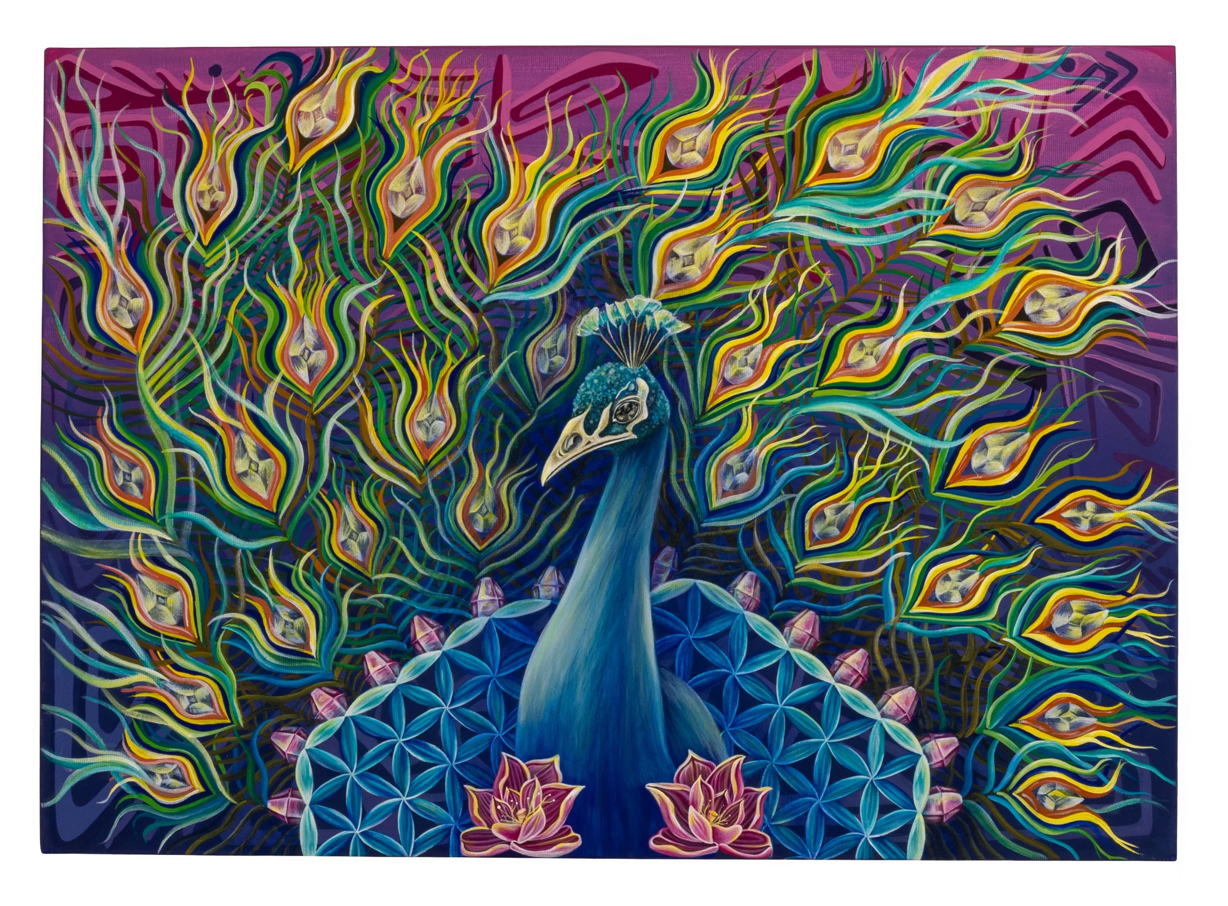 Framing & Mounting — WADARA