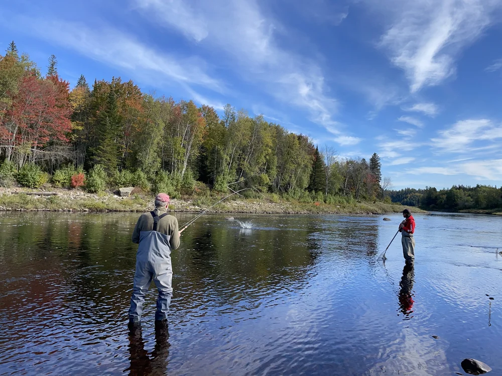 Country Haven Miramichi River Atlantic Salmon Fly Fishing Canada New ...