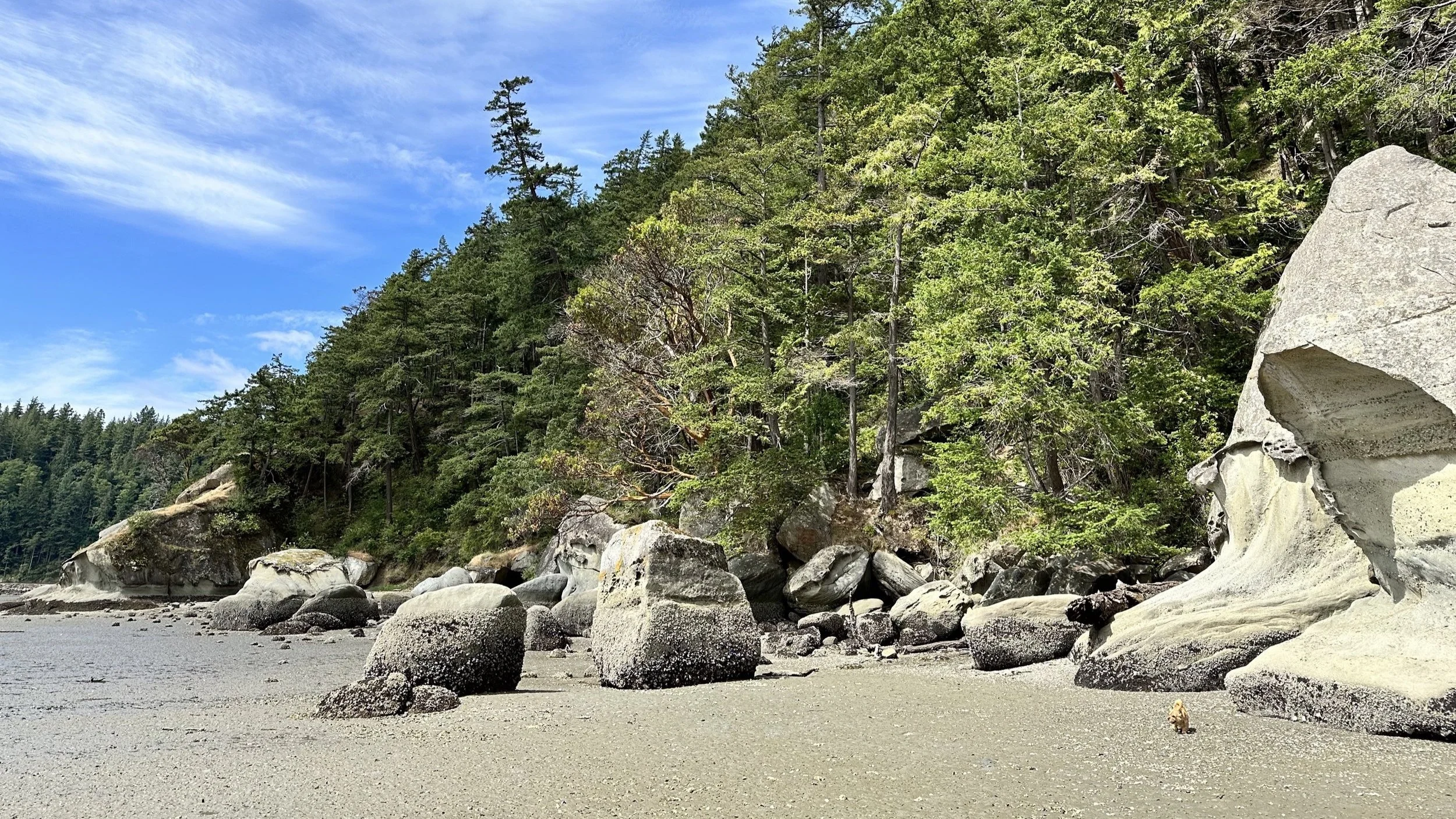 Frequently Asked Questions — Mud Bay Cliffs