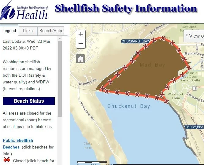 Background — Mud Bay Cliffs