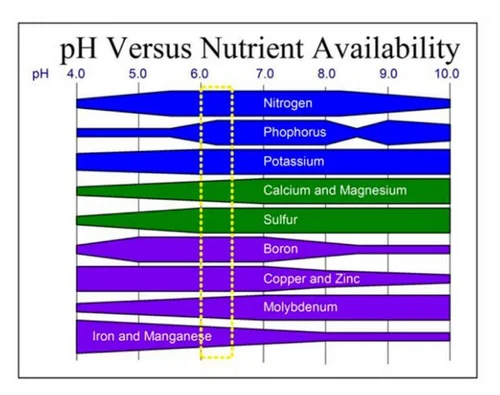 Nutritional Deficiencies in Roses — Rocky Mountain District
