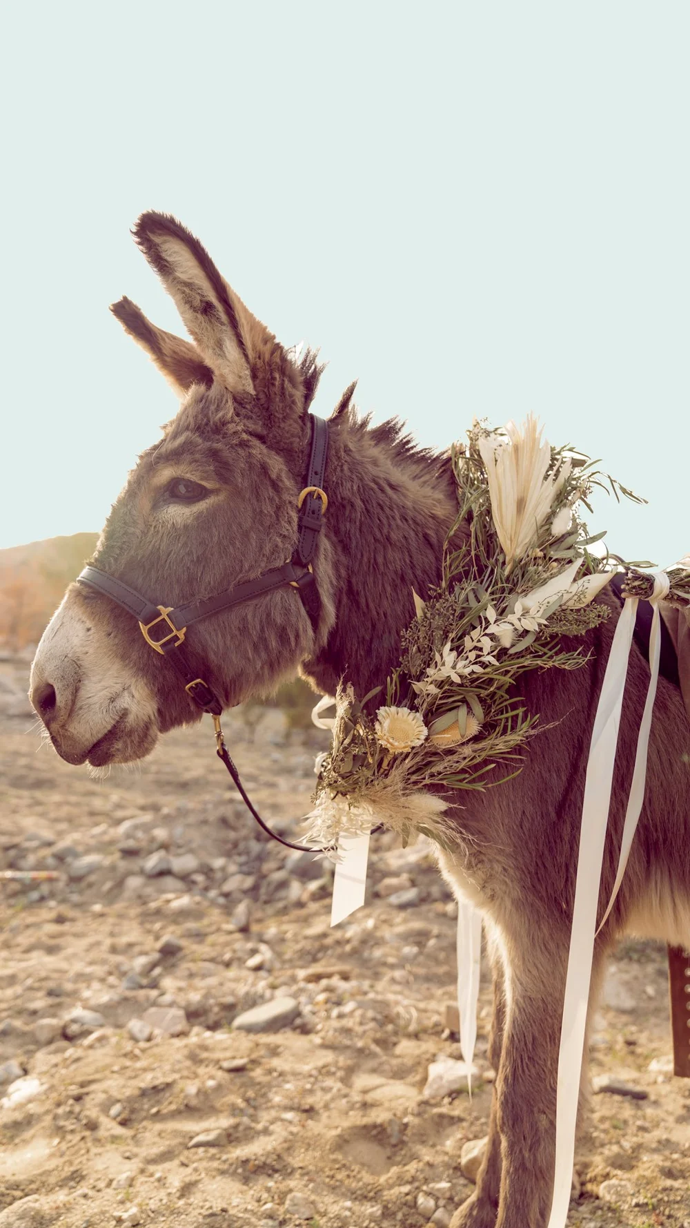 Event Burros — Beer Burros & Brands