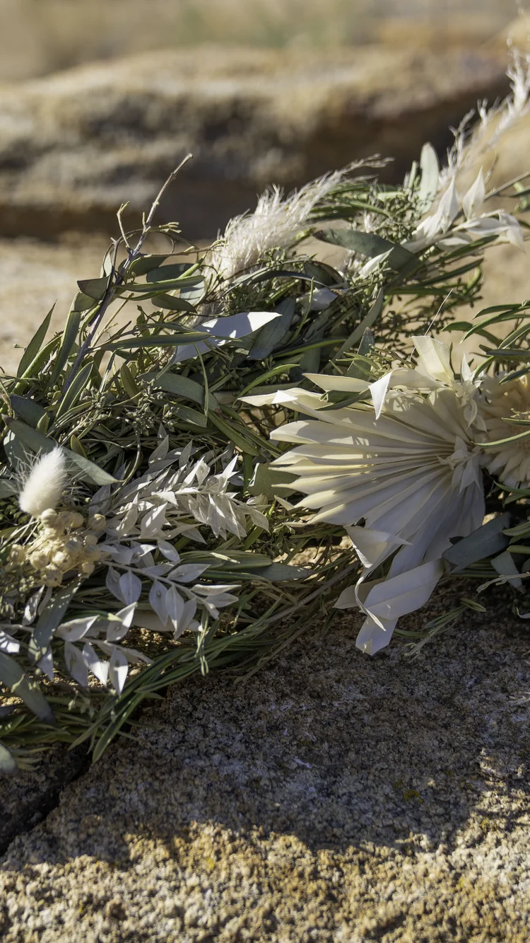 Beer Burros & Brands