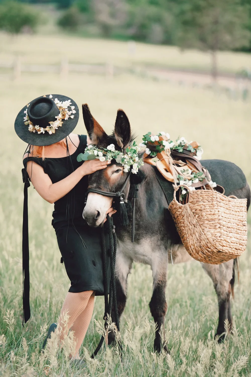 Event Burros — Beer Burros & Brands